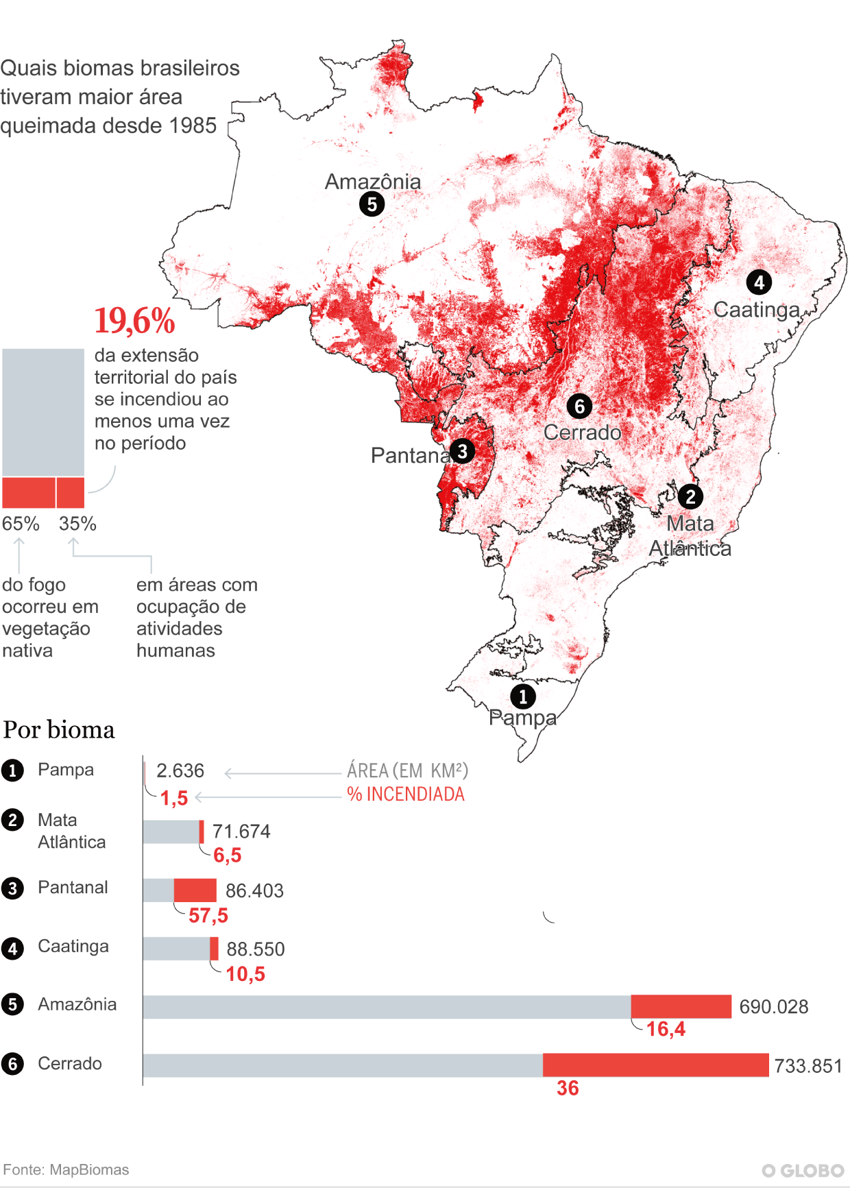 Quase 20% do território brasileiro pegou fogo ao menos uma vez entre ...